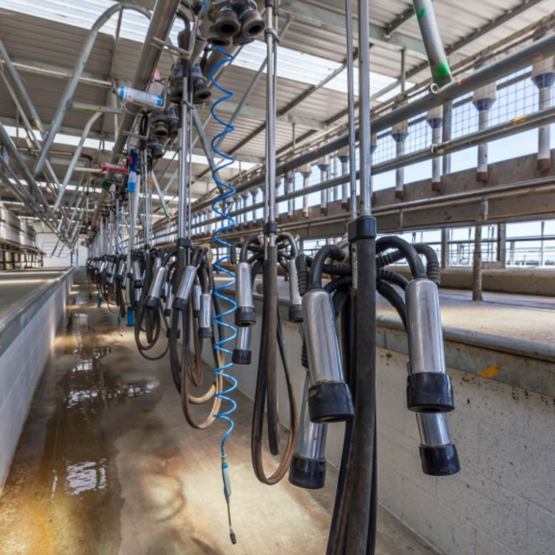 How do I pay my relief milker? - CooperAitken | Chartered Accountants ...