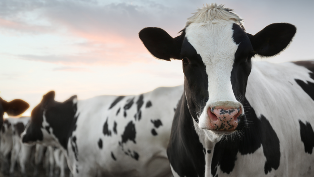 Evidence of Compliance - CooperAitken